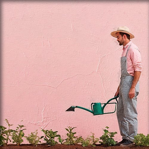 Sopa de Letras de Jardineria y Plantas para Adultos en PDF